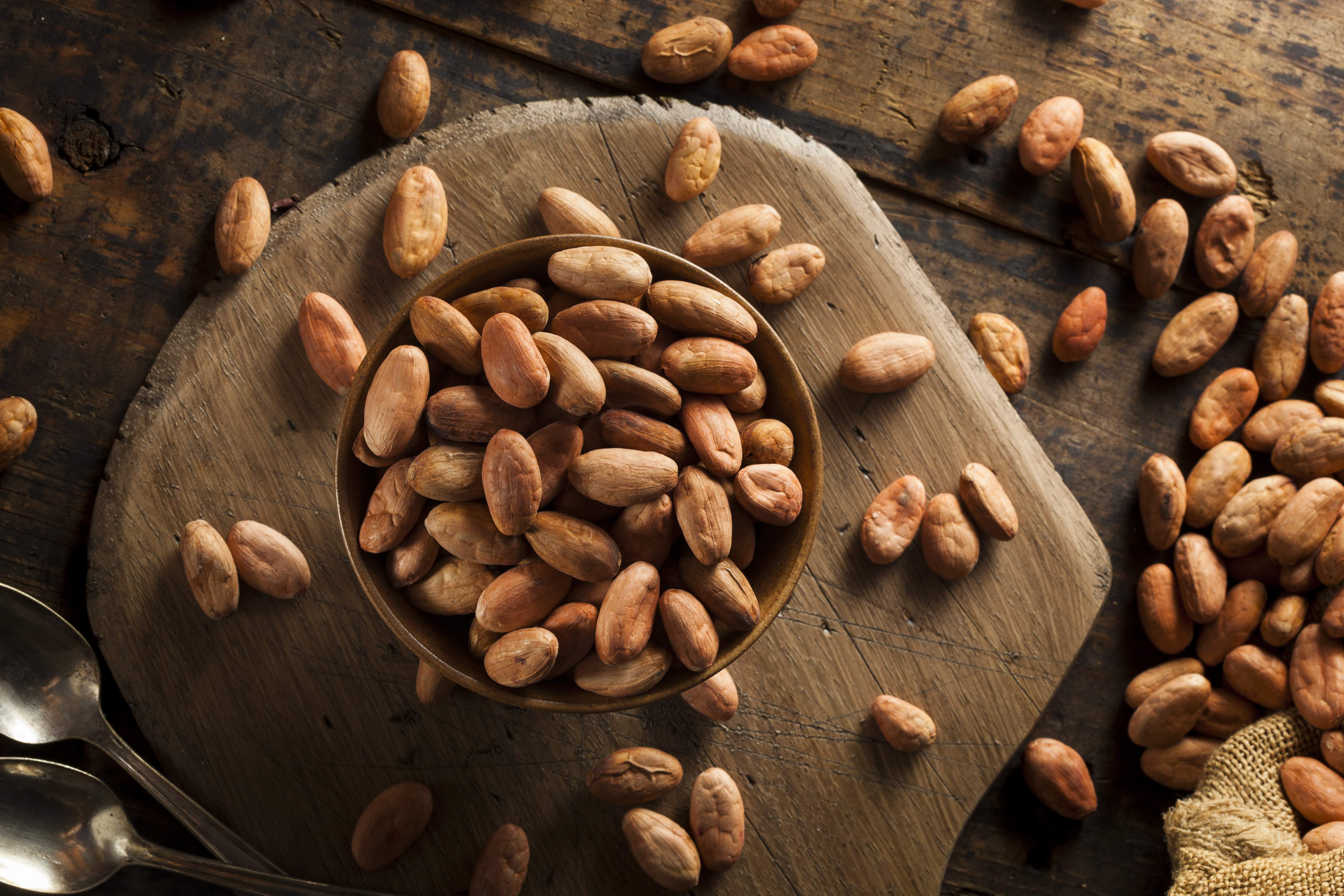 Guan Chong Berhad (GCB) :: Good Cocoa & Beyond