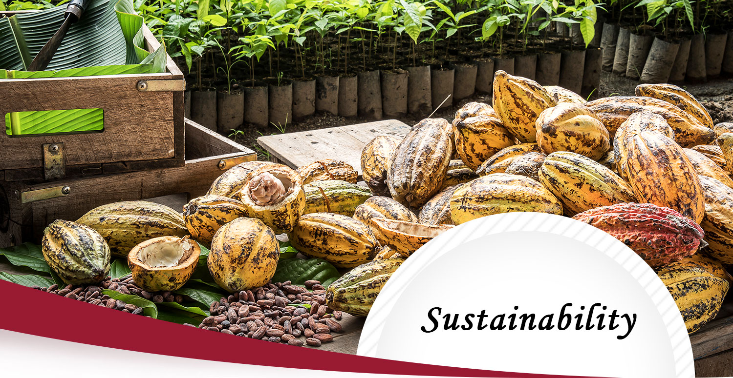 Guan Chong Berhad (GCB) :: Cocoa Manufacturer Malaysia, Butter Liquor Mass